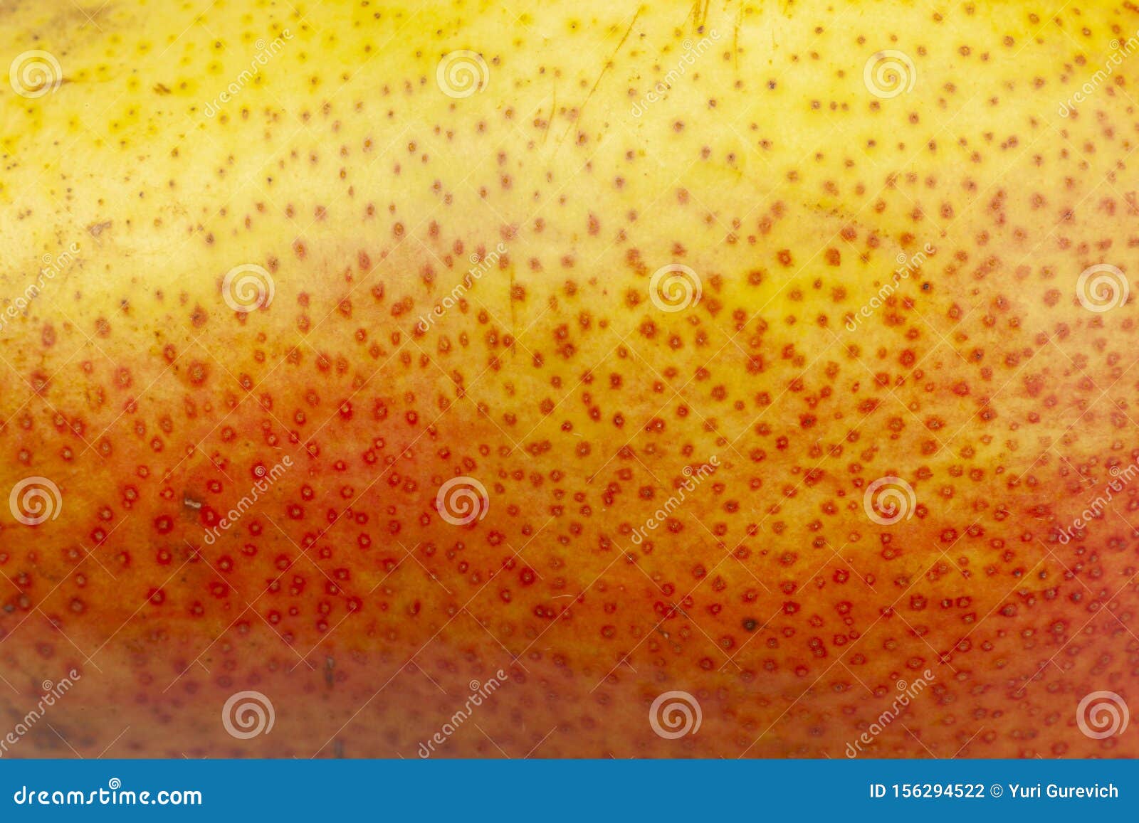 Pear Skin Surface Texture Pattern Close Up Detail Macro. Abstract ...
