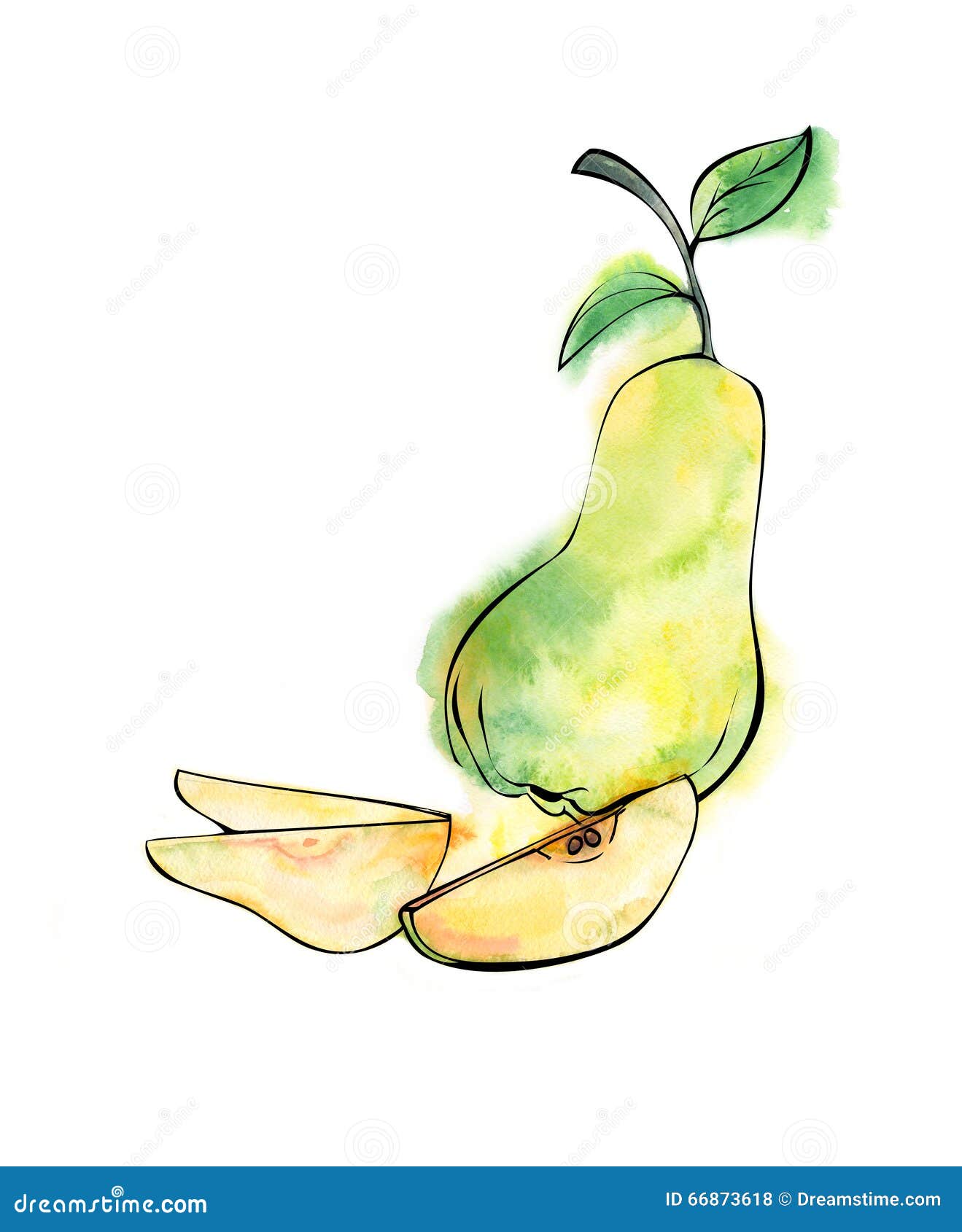 Pear and slices stock illustration. Illustration of ecology - 66873618