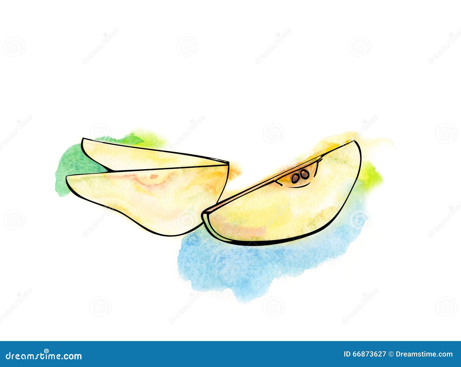 Pear slices stock illustration. Illustration of diet - 66873627