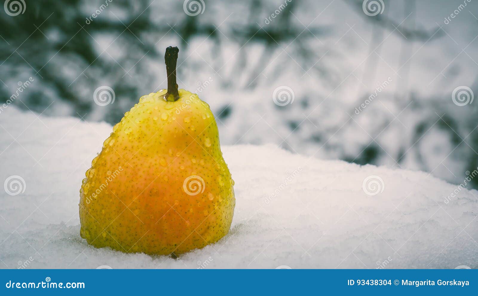 Pear on the snow stock photo. Image of citric, desert - 93438304