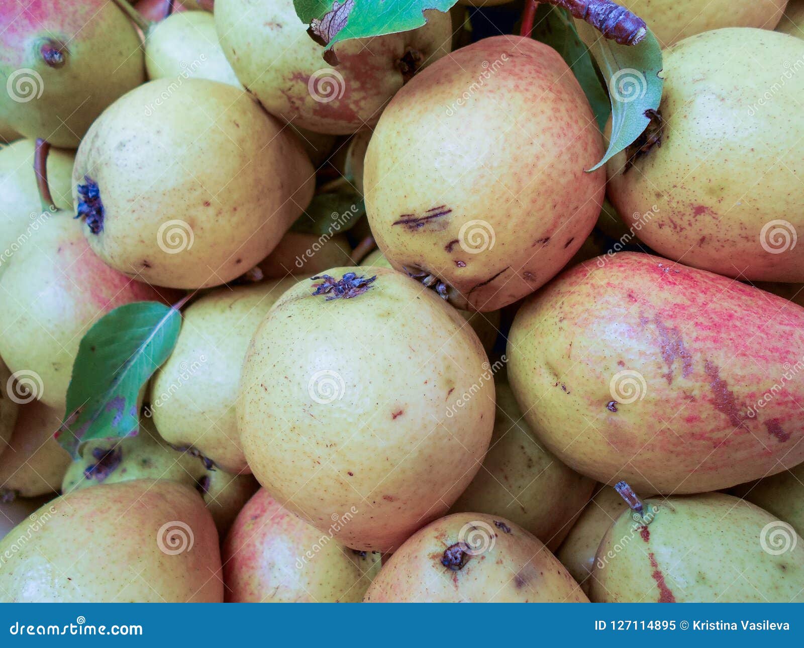 Pear Texture: Lots of Pears Collected in a Bowl Stock Image - Image of ...
