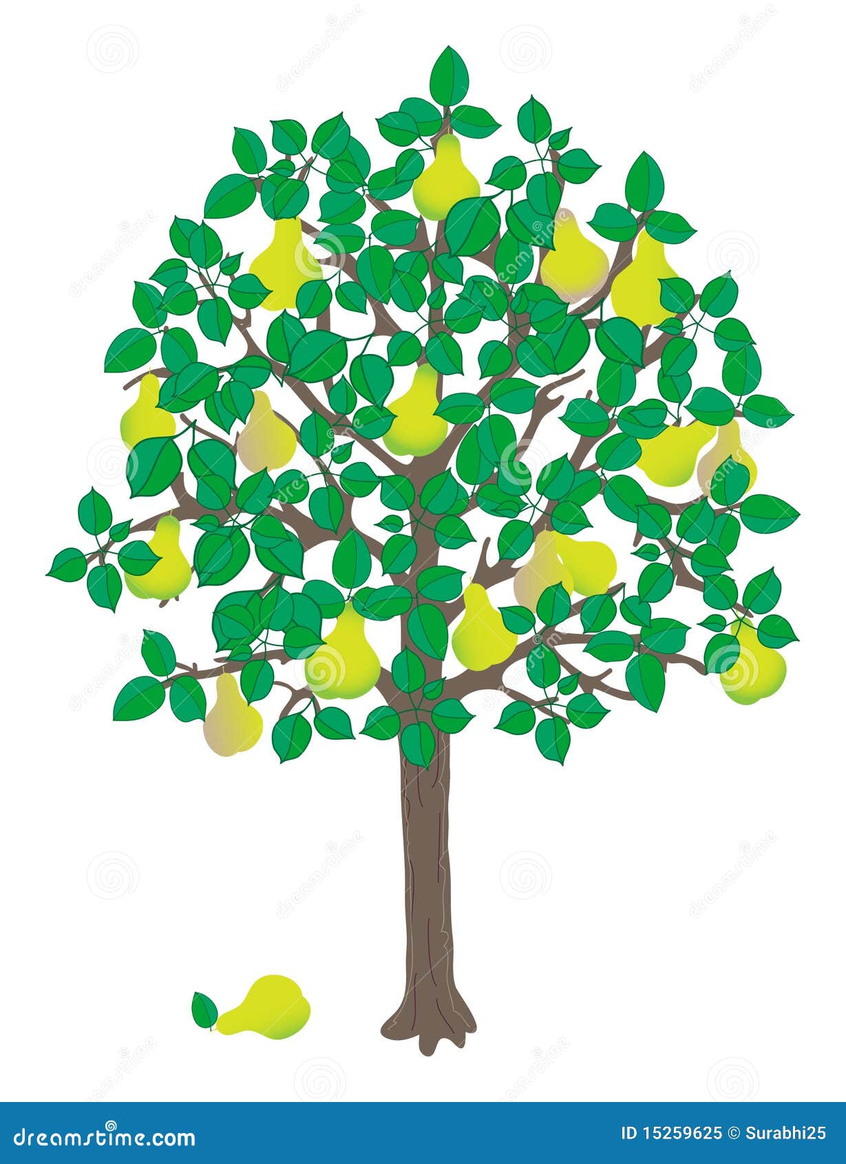 Pear tree stock vector. Illustration of lush, pattern - 15259625