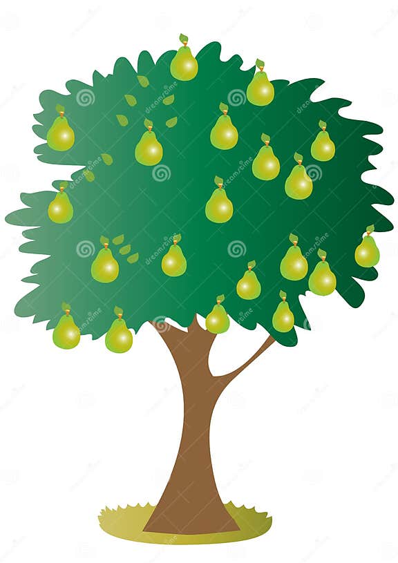 Pear tree stock vector. Illustration of green, branch - 53266425