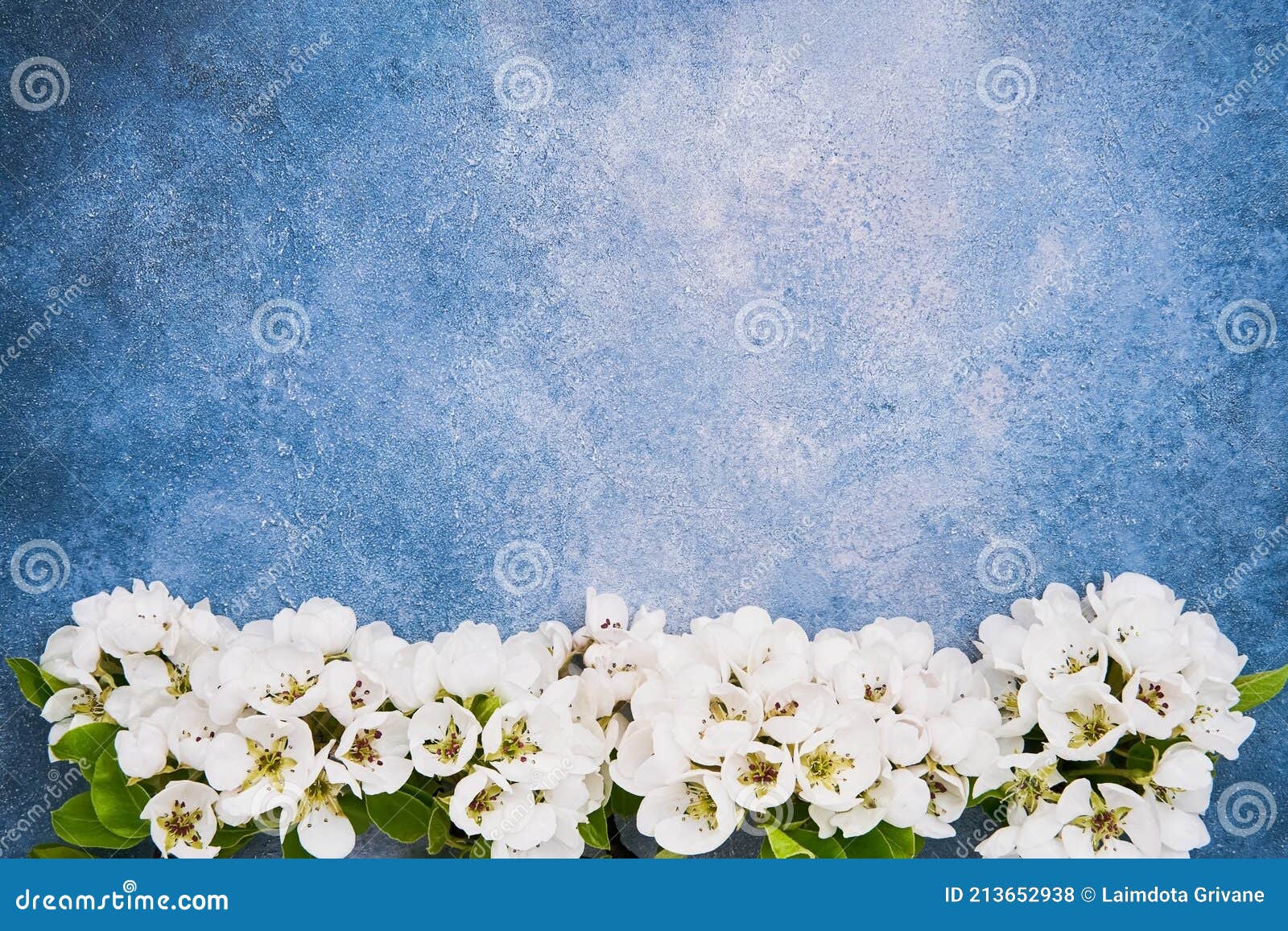 Pear Tree Flowers Border on a Blue Background. Spring Concept. Copy ...