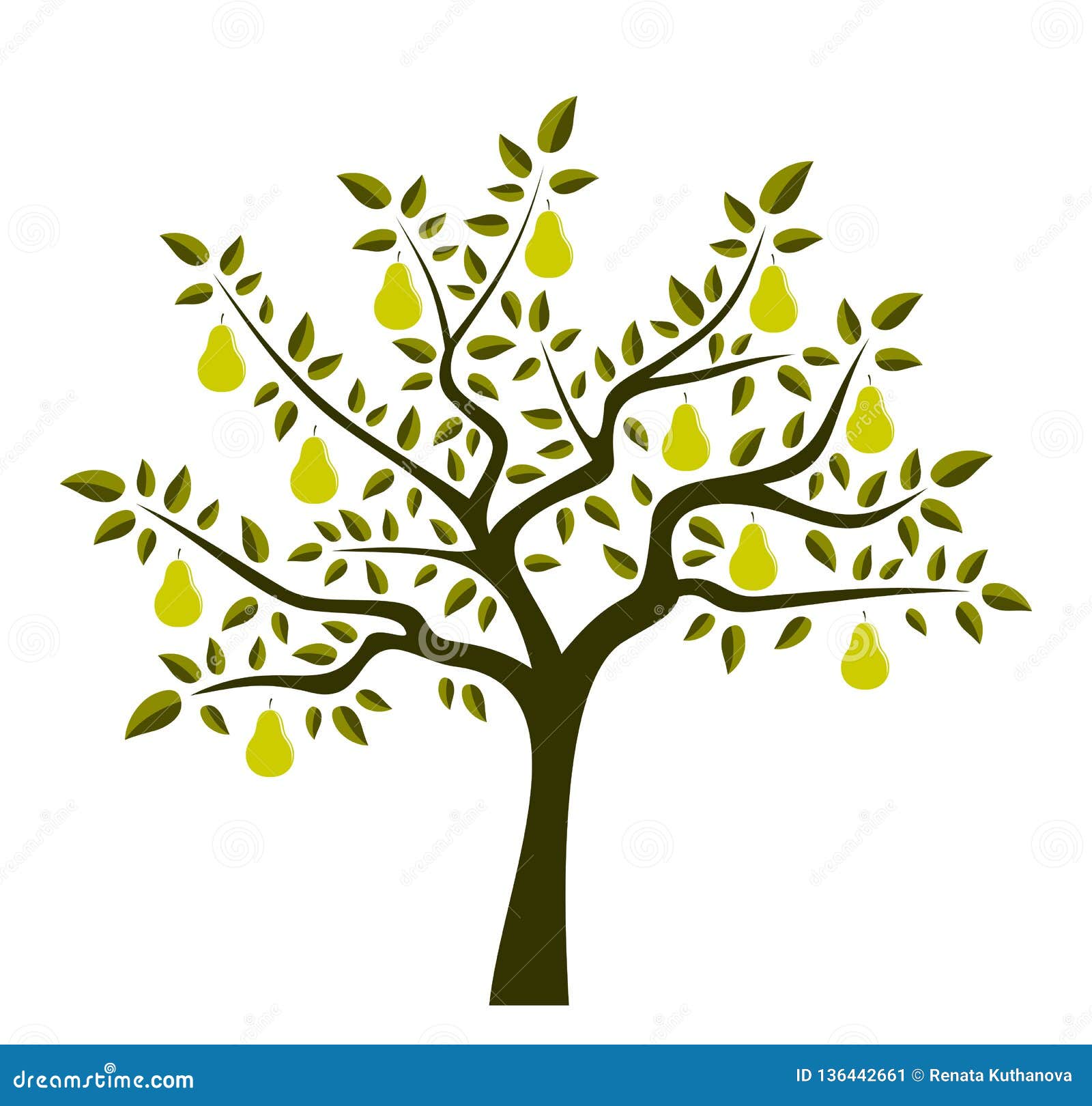 Pear tree stock vector. Illustration of ripe, season - 136442661