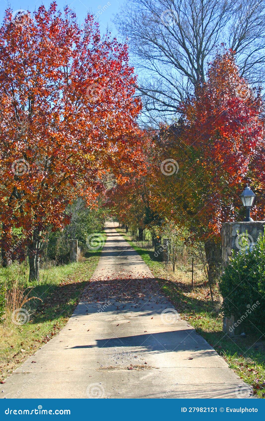 Pear Tree Lane in Autumn stock image. Image of tree, lamp - 27982121