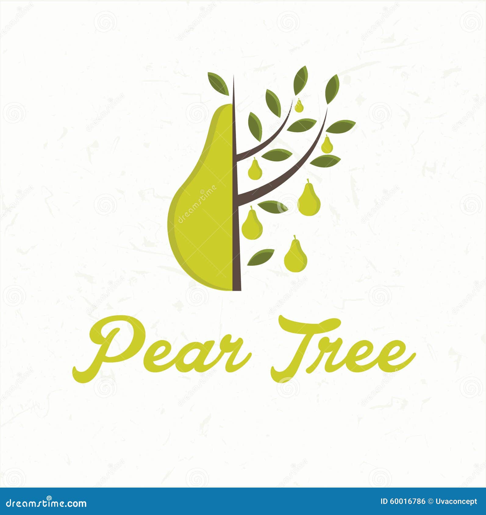 Pear tree with pear fruit stock vector. Illustration of harvest - 60016786