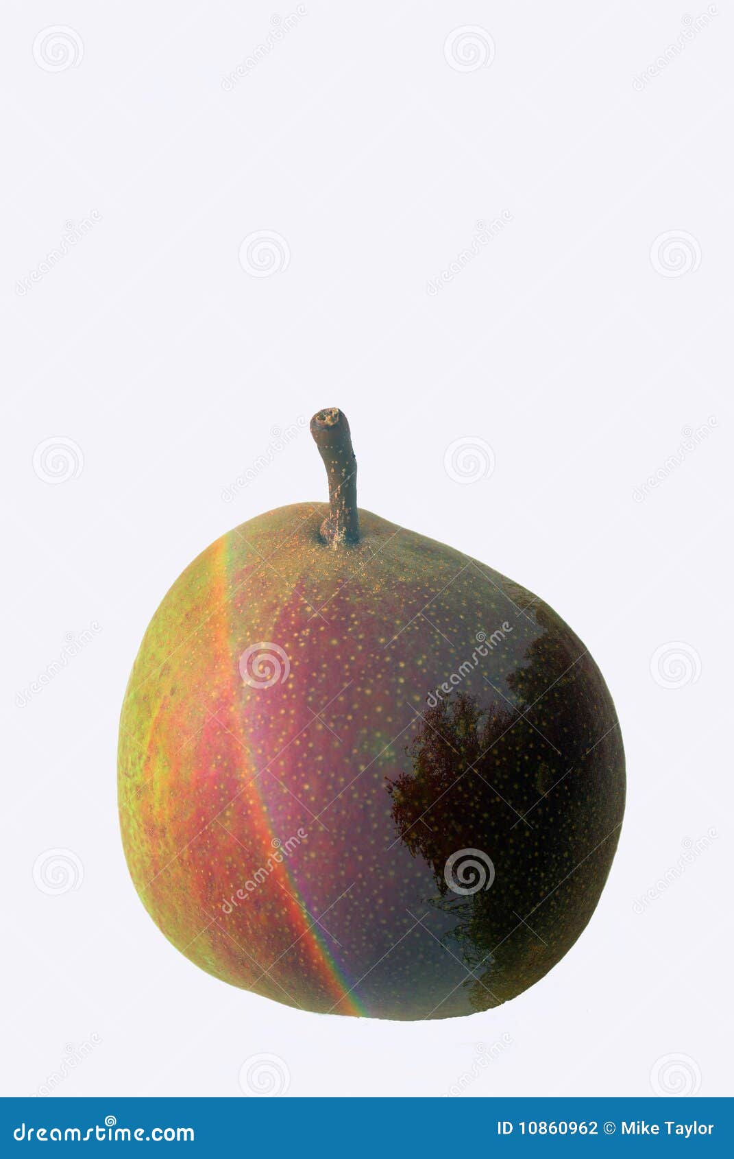 Pear, Tree and Rainbow stock photo. Image of nourishment - 10860962