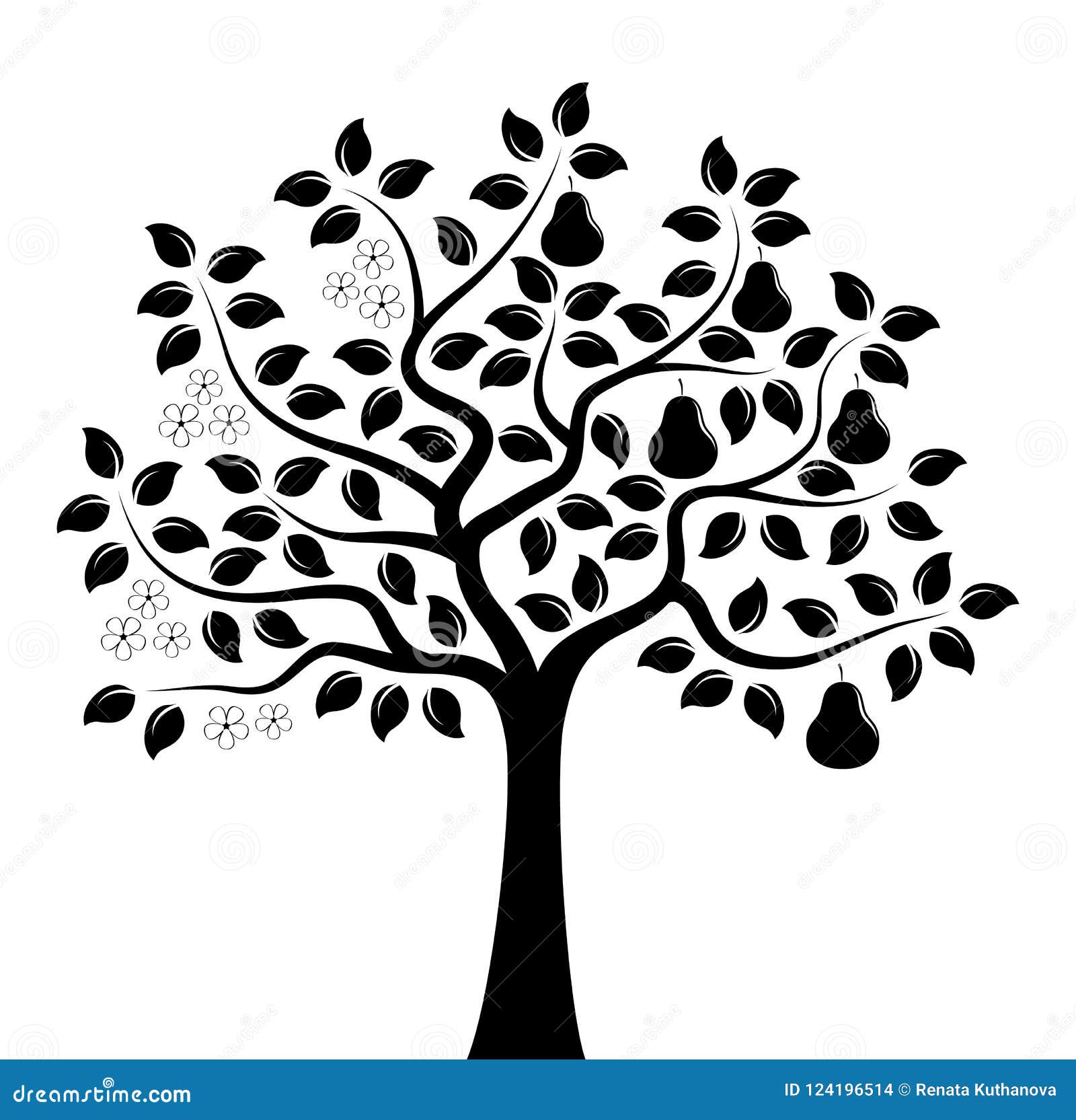Pear Tree Growth Stages. Vector Illustration. Ripening Period ...