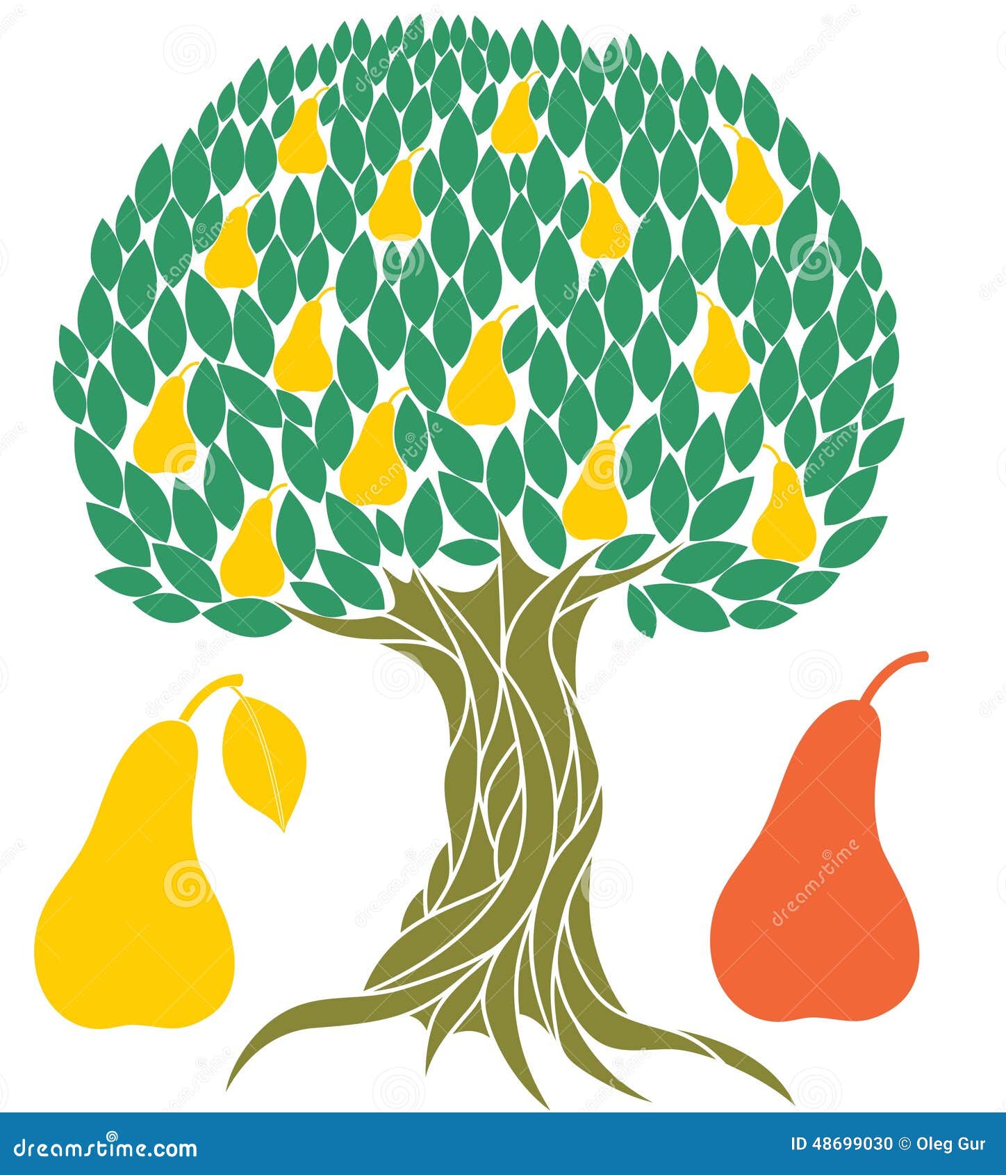 Pear tree stock vector. Illustration of design, vector - 48699030