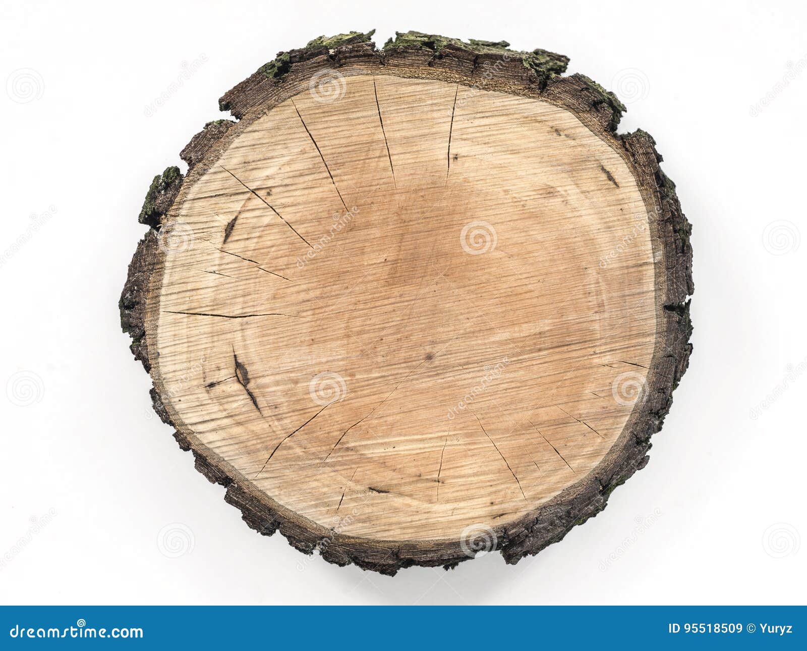 Pear tree woodcut stock image. Image of natural, rough - 95518509