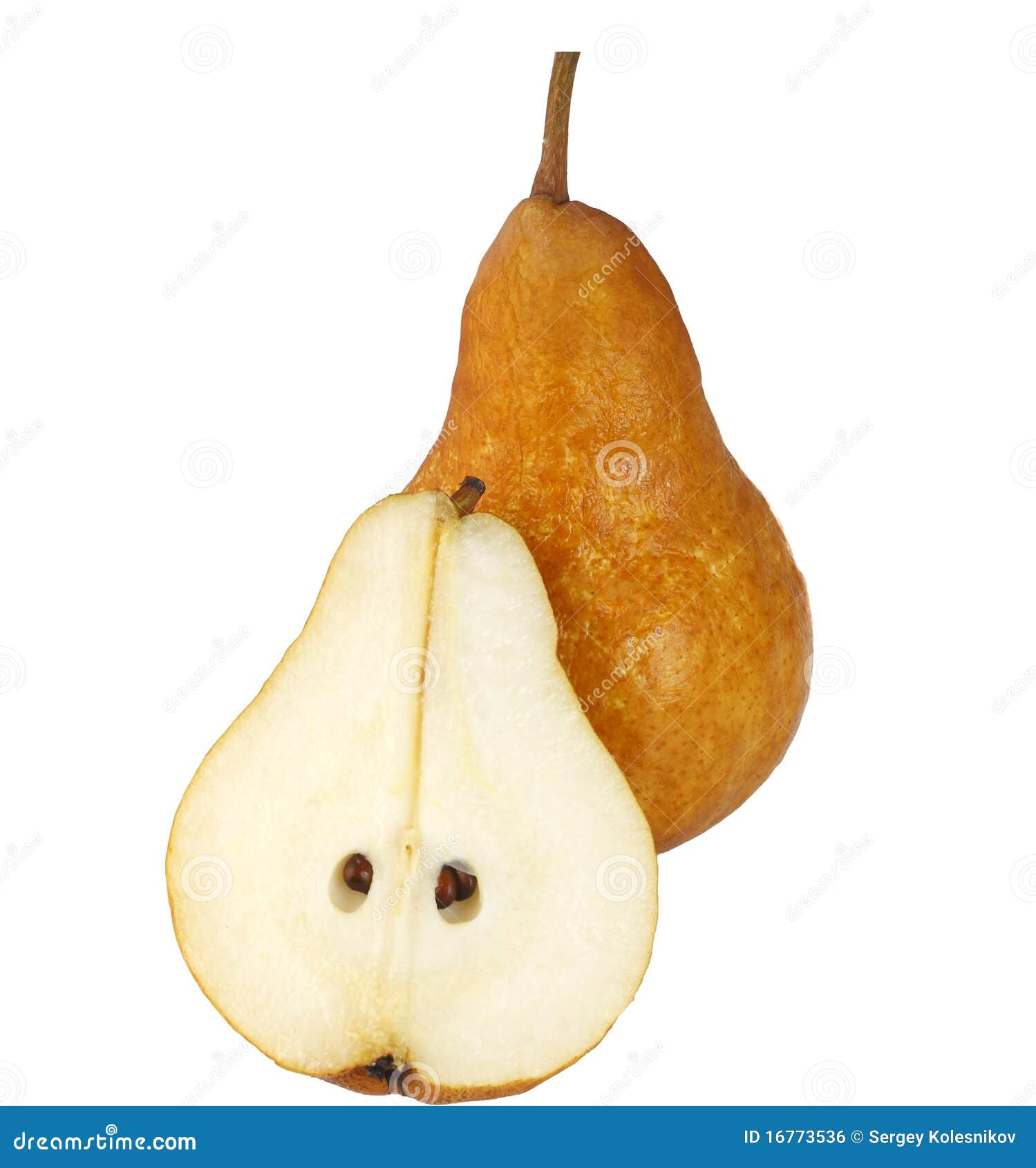 Pear Varieties Pearl Garden Stock Photo - Image of dwarf, honey: 16773536