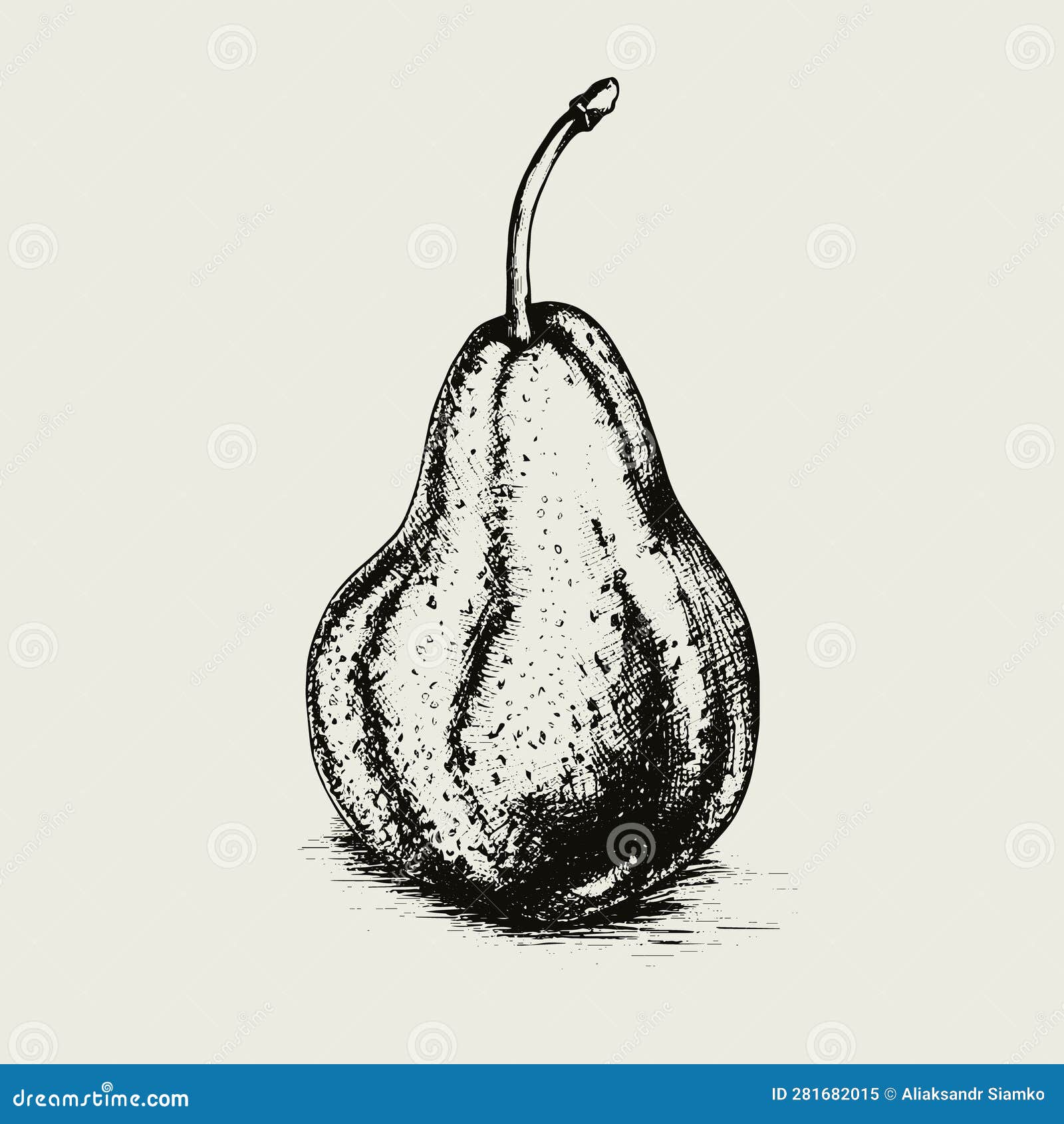 Pear Vector Drawing. Isolated Hand Drawn, Engraved Style Illustration ...