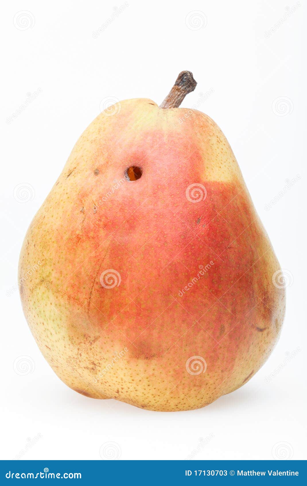 Pear with worm hole stock image. Image of worm, pear - 17130703