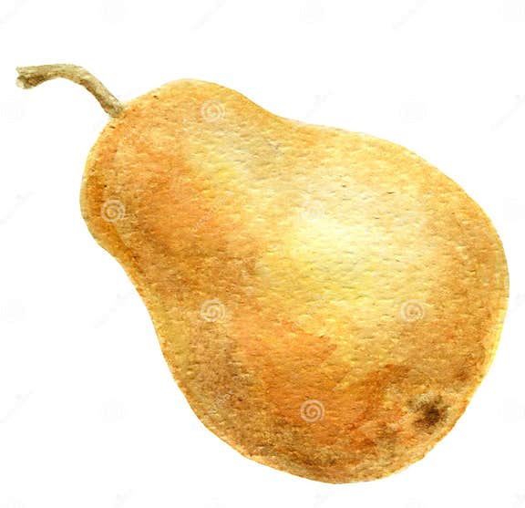 Pear in Yellow Color Isolated on White Background. Stock Photo ... Pear in Yellow Color Isolated on White Background. Stock Photo ...