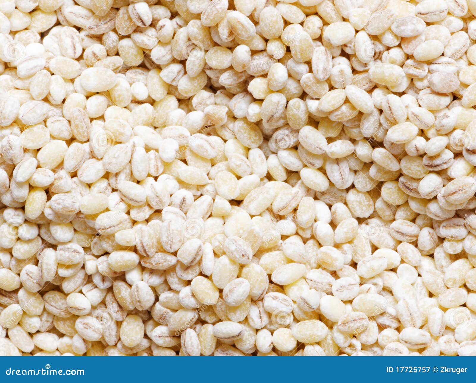 Pearl barley stock image. Image of vegetable, cereal - 17725757