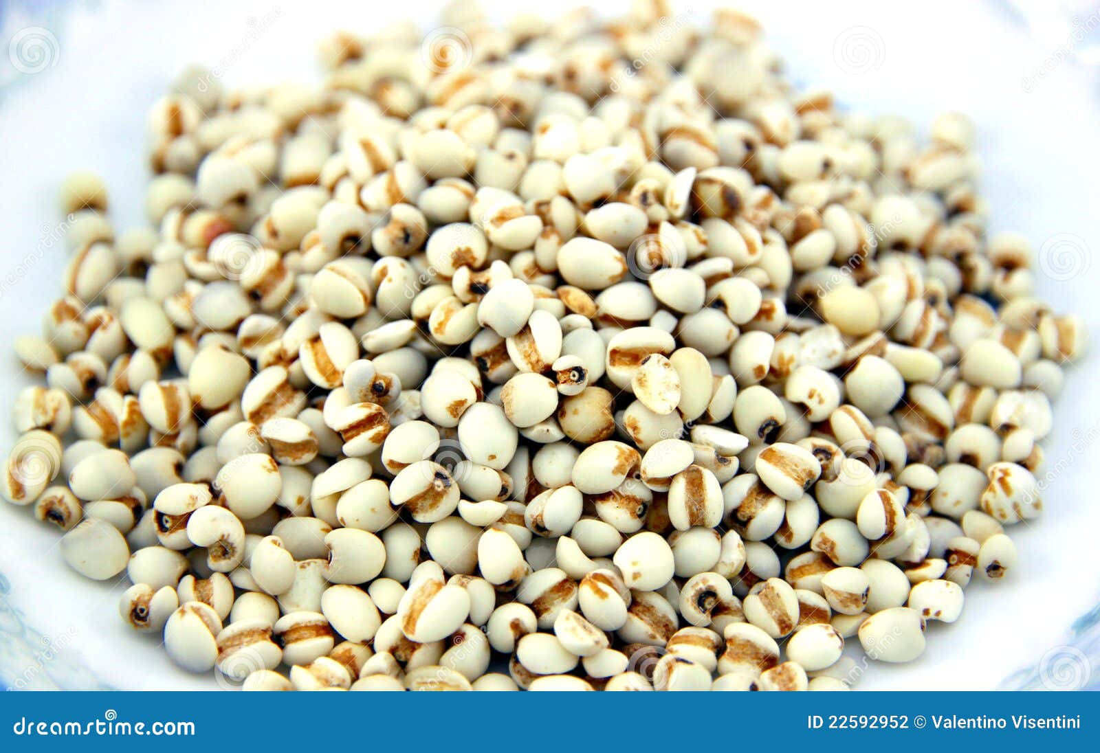 Pearl Barley stock photo. Image of sweet, plant, soft - 22592952