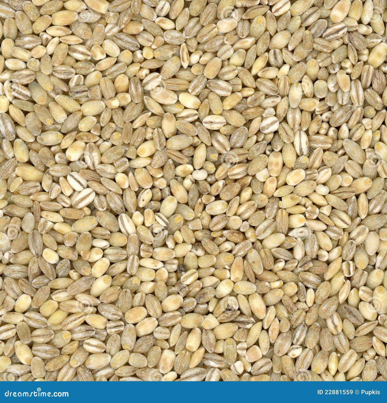 Pearl Barley background stock image. Image of health - 22881559