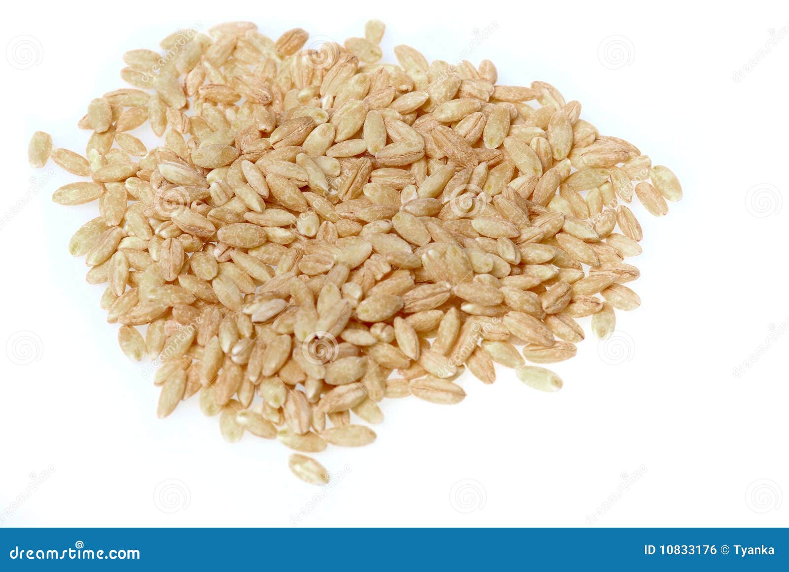Pearl barley grains stock photo. Image of isolated, natural - 10833176