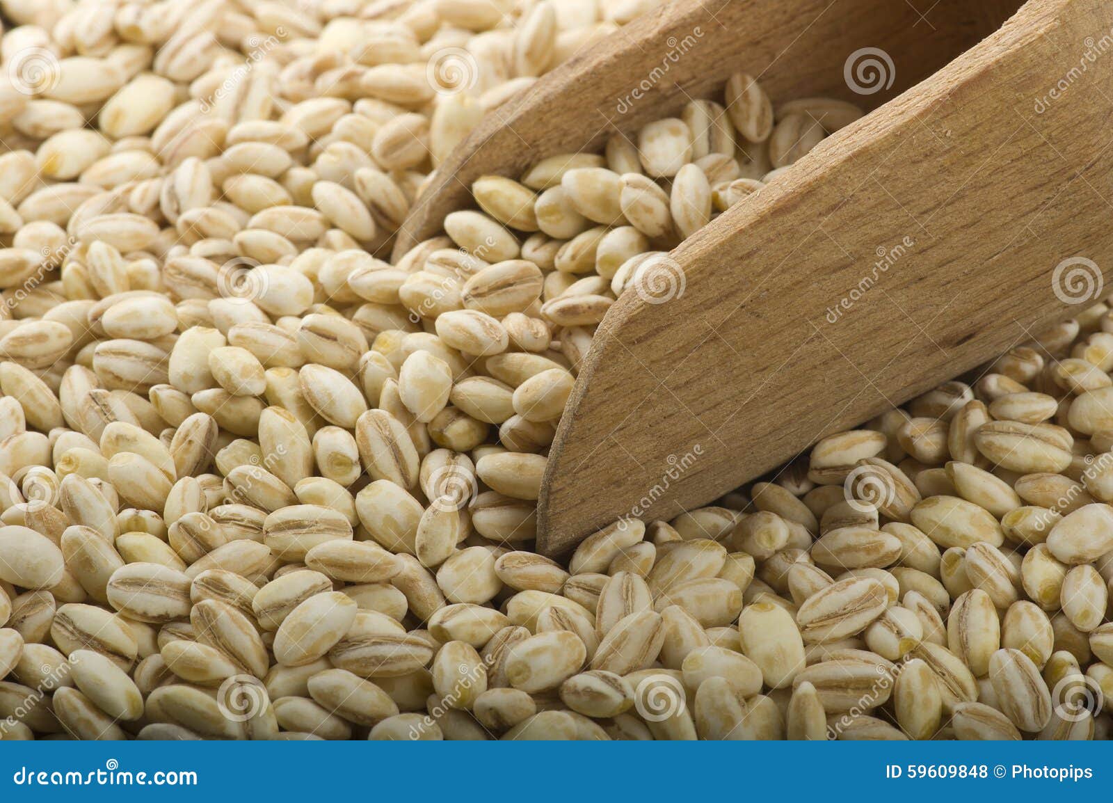 Pearl barley stock photo. Image of meal, germination - 59609848