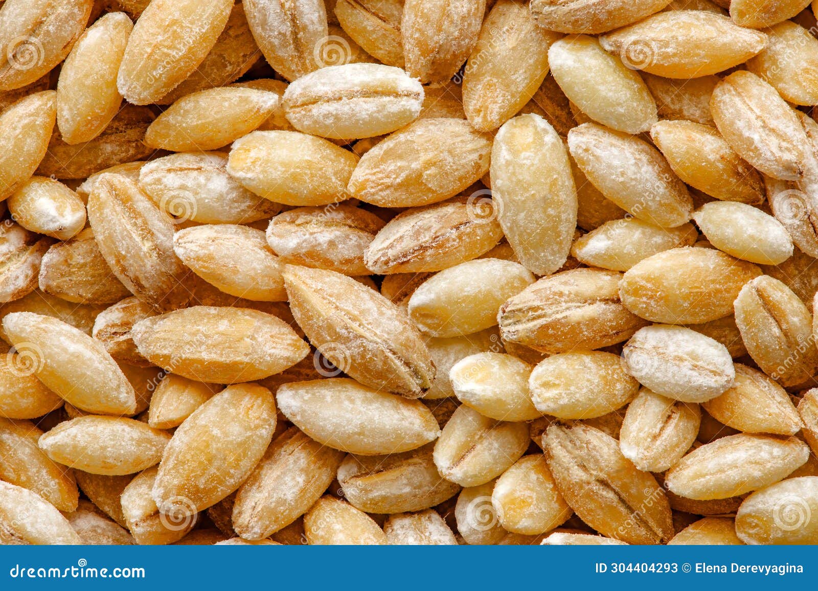 Pearl Barley Raw Spindle-shaped Grains, in Bulk, Close-up, Background ...