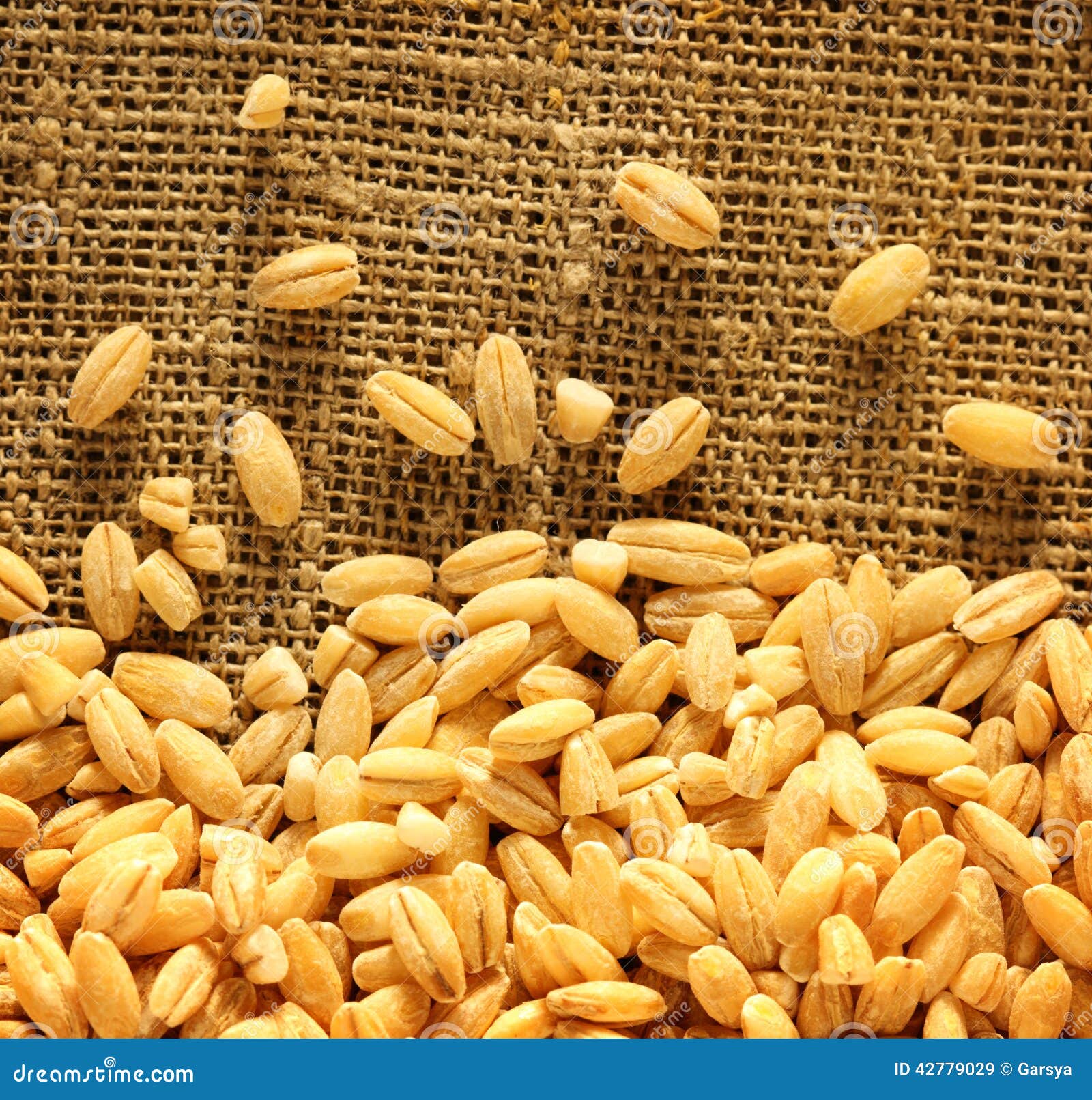 Pearl barley on sack stock image. Image of natural, grain - 42779029