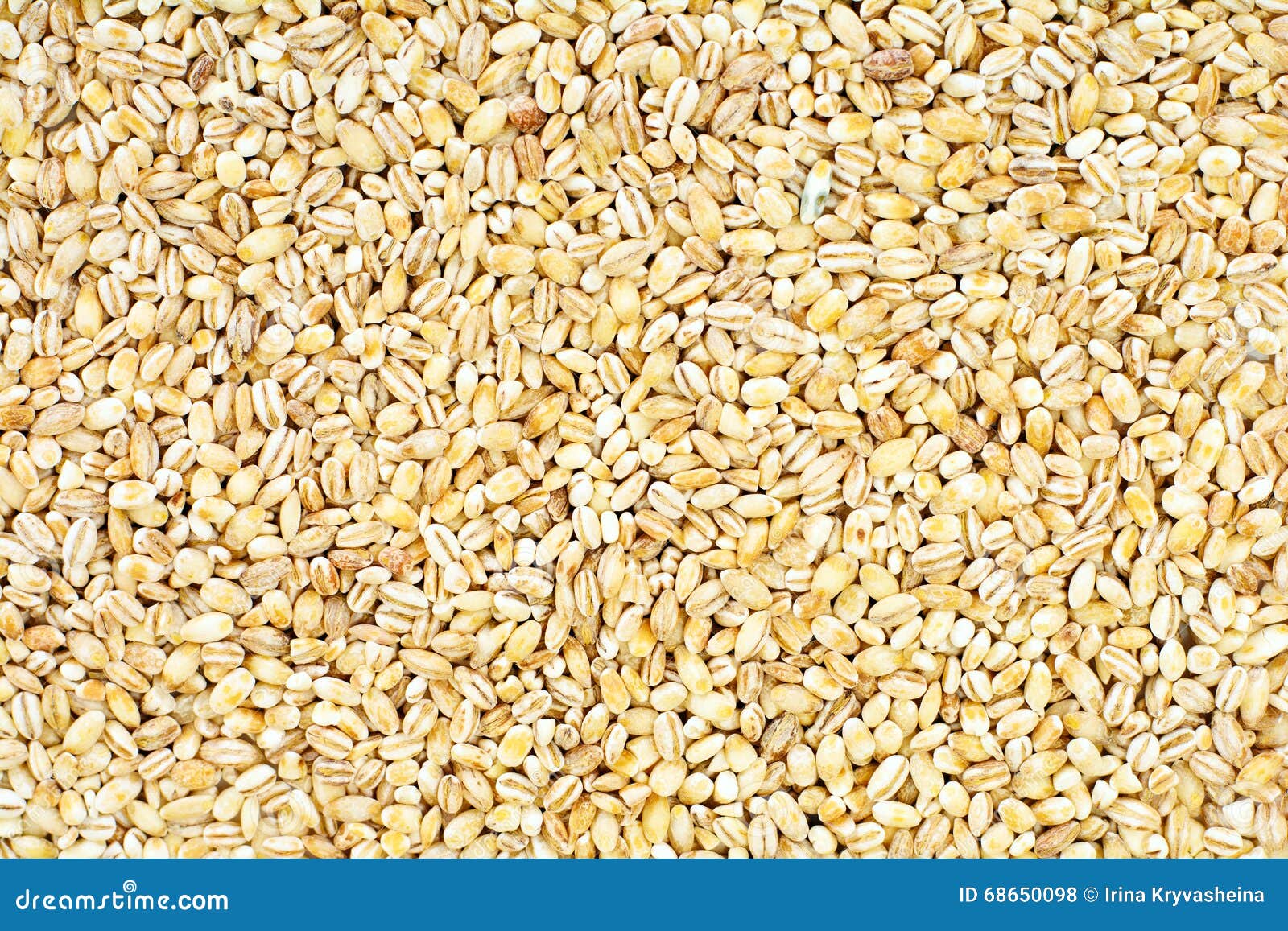 Pearl Barley Whole Grains stock photo. Image of rough - 68650098