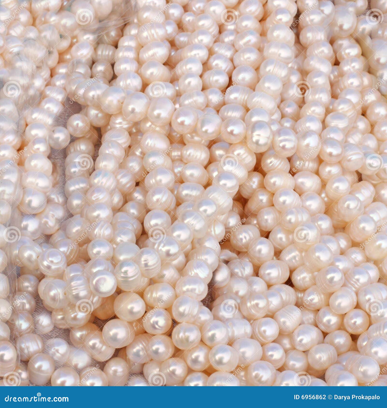 Pearl beads stock photo. Image of natural, wear, white - 6956862