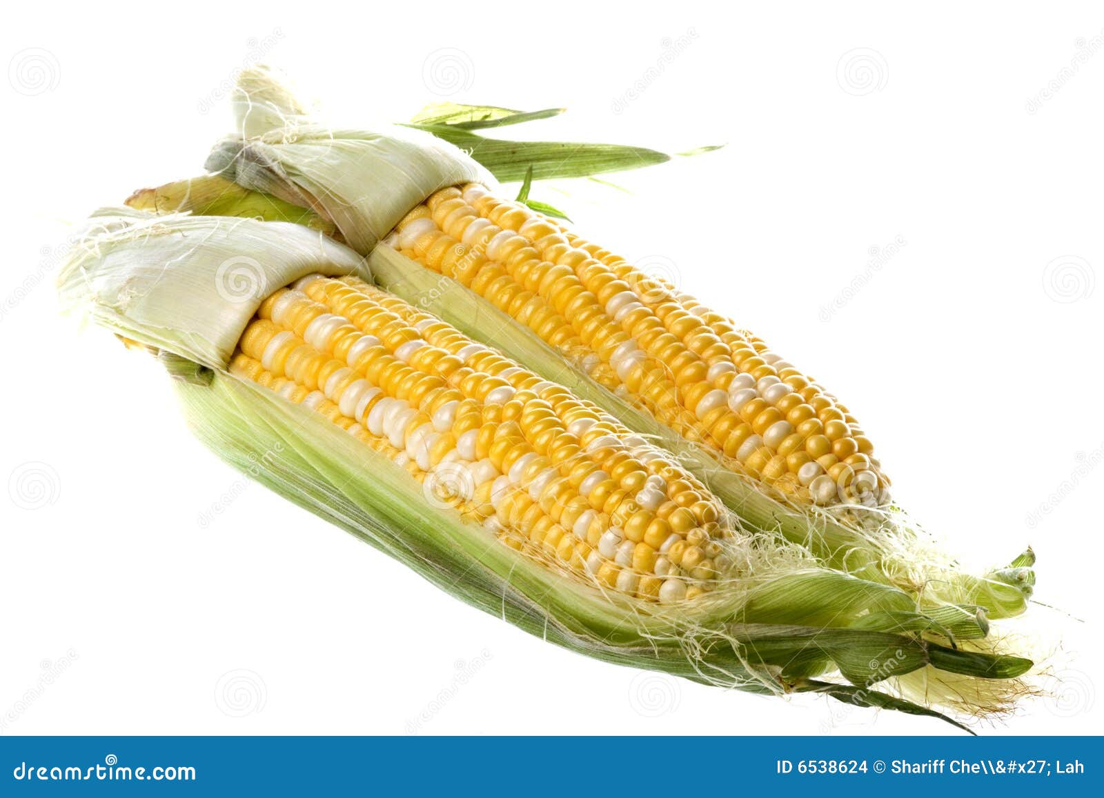 Pearl Corn Isolated stock photo. Image of vegetables, natural - 6538624 Pearl Corn Isolated stock photo. Image of vegetables, natural - 6538624