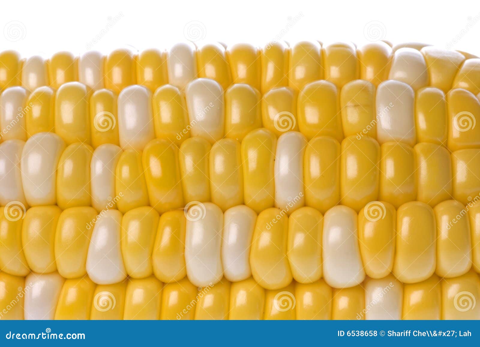 Pearl Corn Isolated stock photo. Image of corn, organic - 6538658