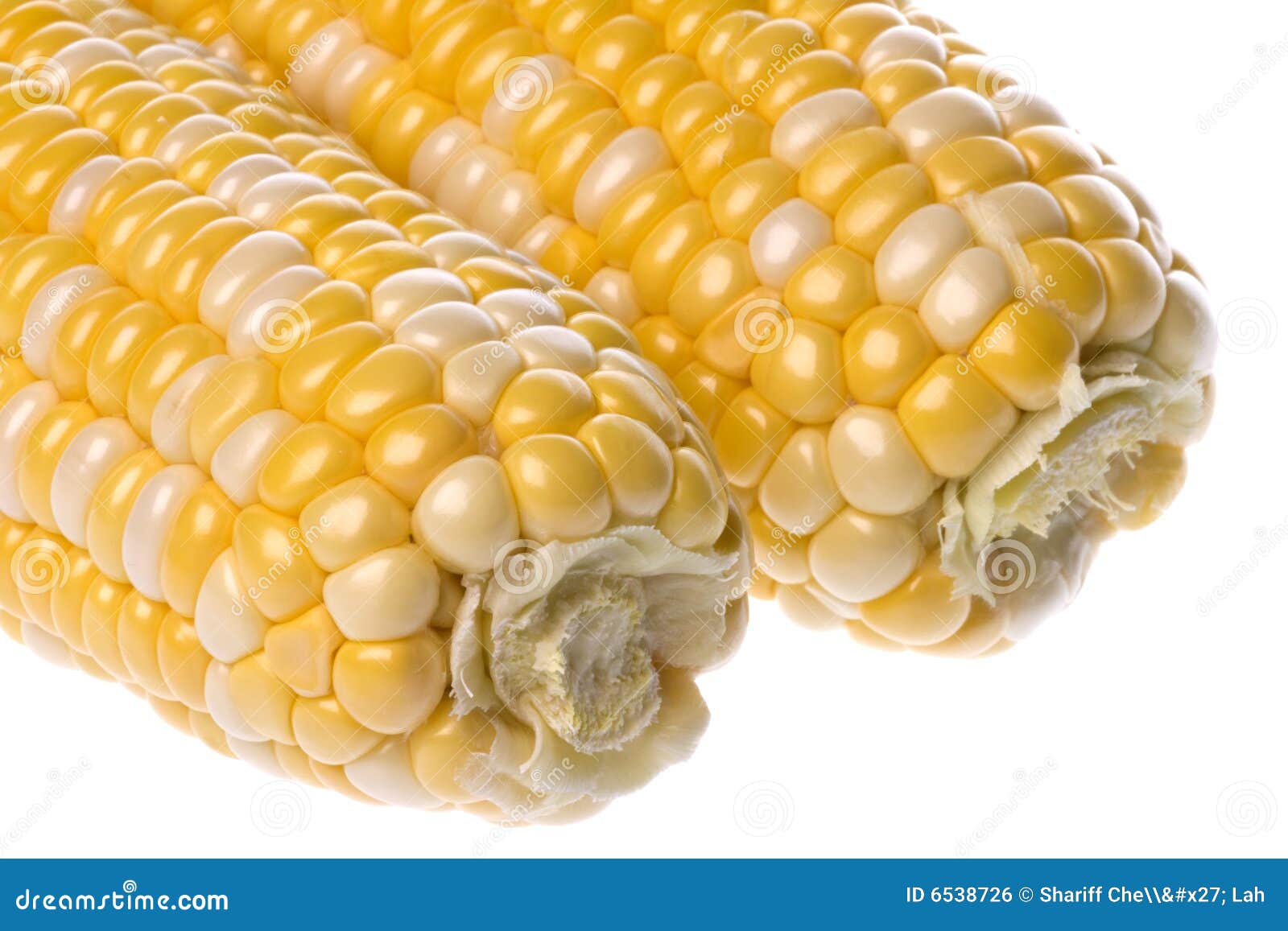 Pearl Corn Isolated stock photo. Image of corn, veggies - 6538726