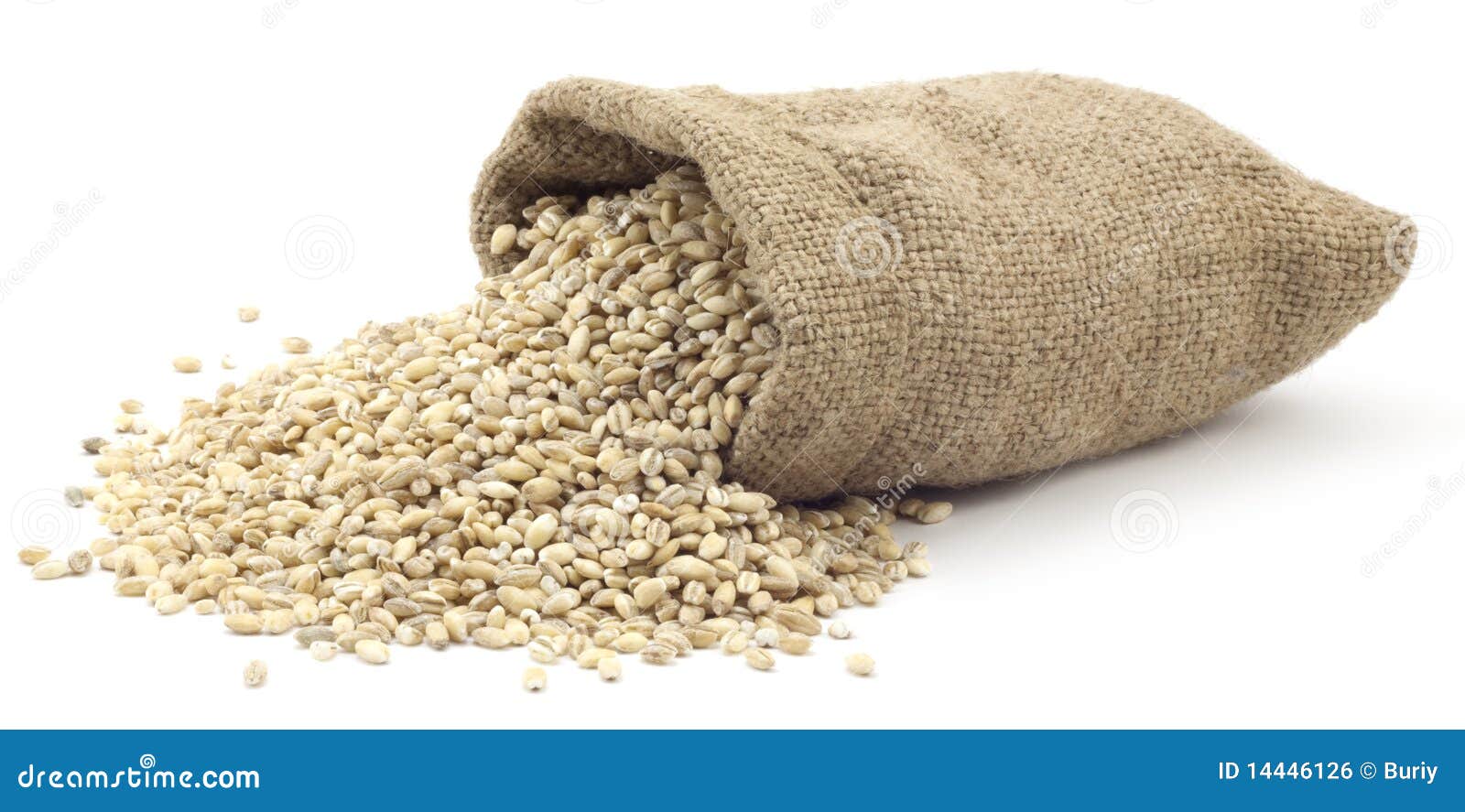 Pearl grain in the bag stock photo. Image of seed, scattered - 14446126