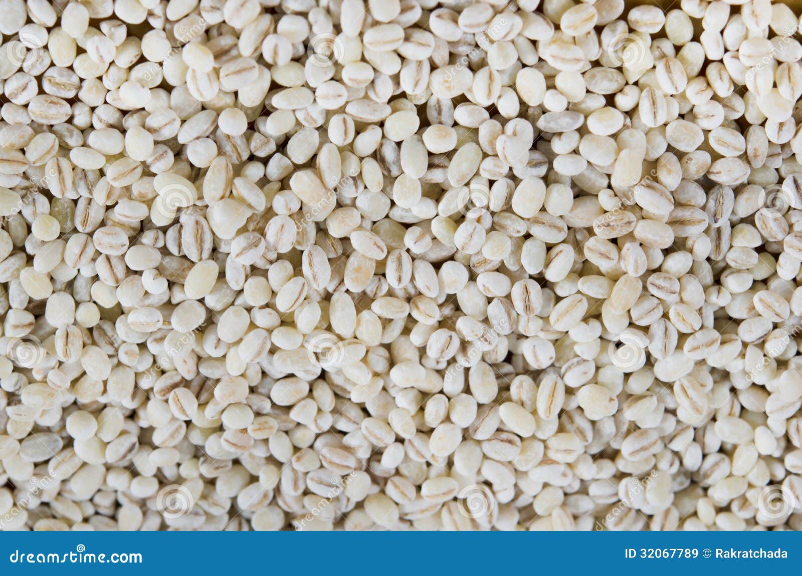 Pearl grain stock image. Image of brown, beige, texture - 32067789