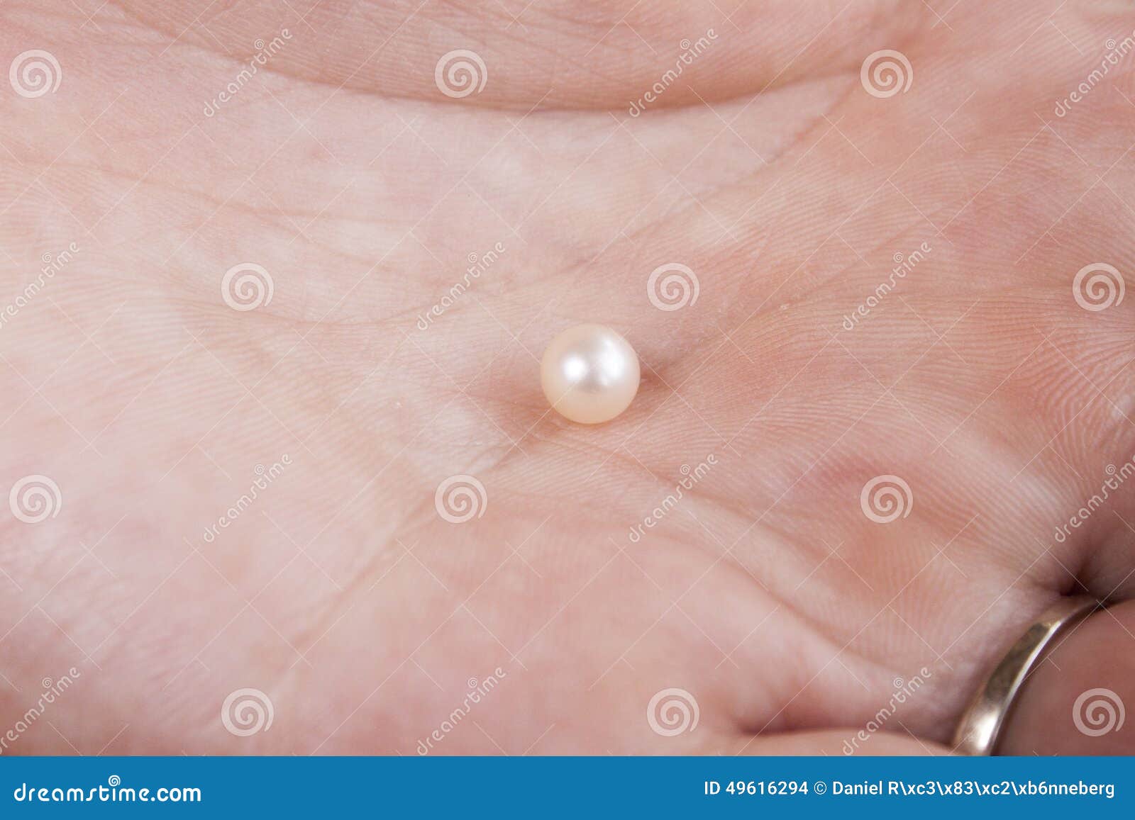 Pearl in hand stock photo. Image of christian, gift, gospel - 49616294