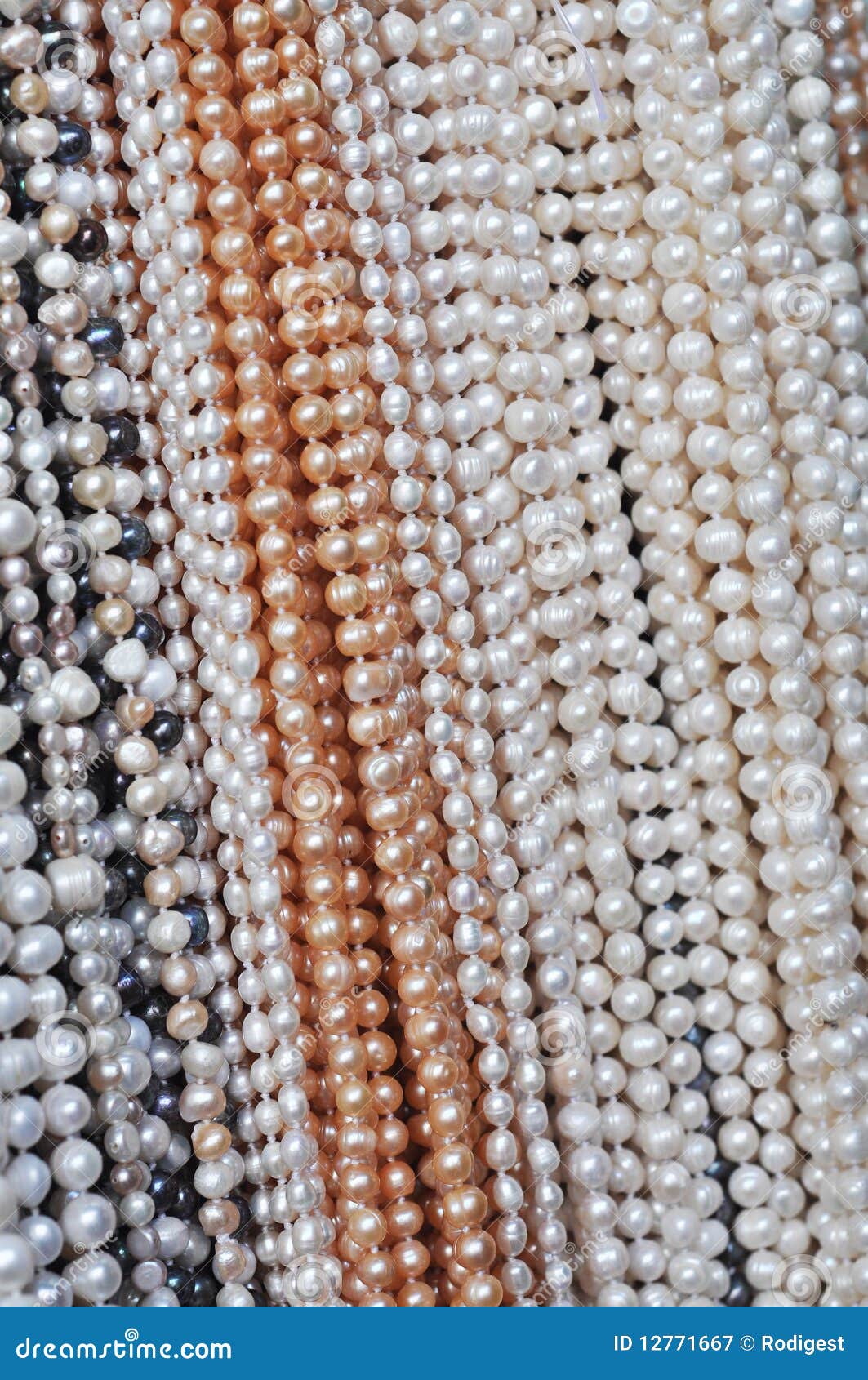 Pearl Hang Line stock image. Image of drop, hung, carcanet - 12771667