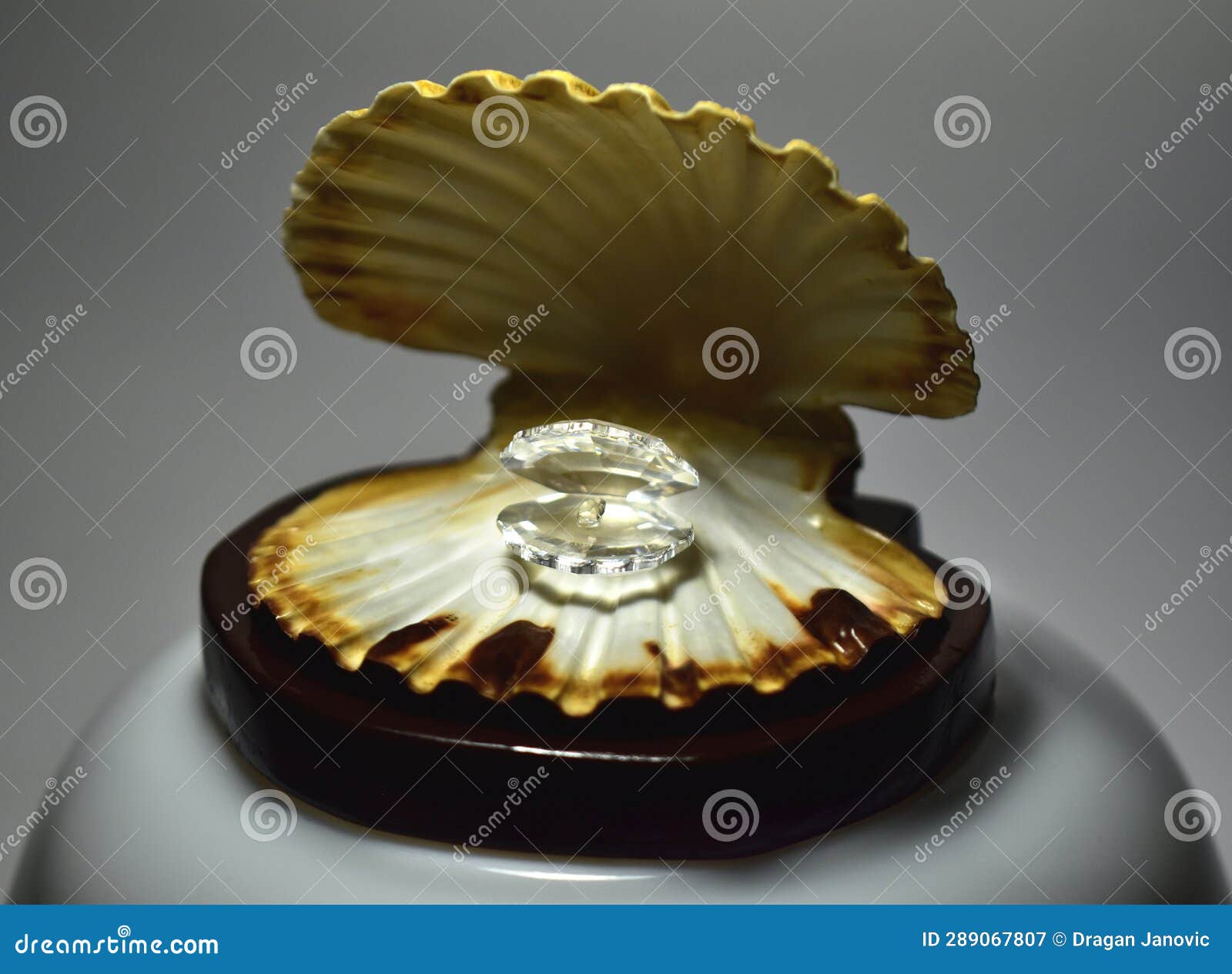 Pearl inside a shell stock image. Image of sculpture - 289067807