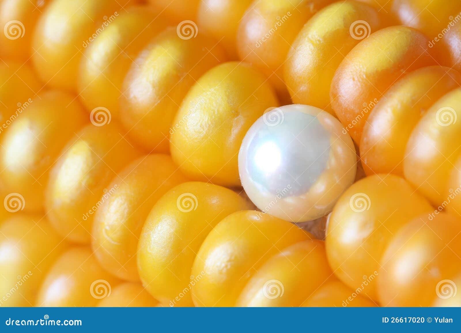 Pearl on Maize Corns stock photo. Image of dieting, glowing - 26617020