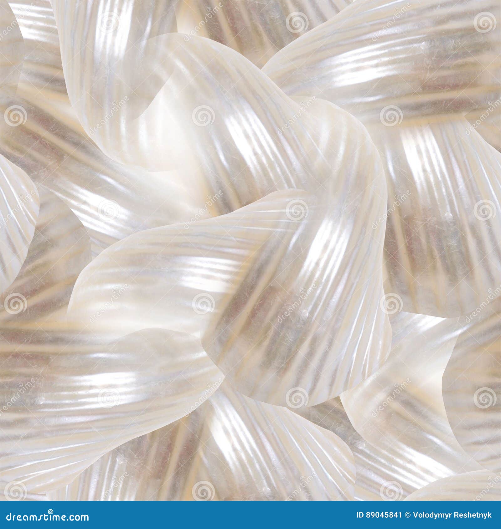 Pearl Nautilus Shell on White Stock Image - Image of ocean, natural ...