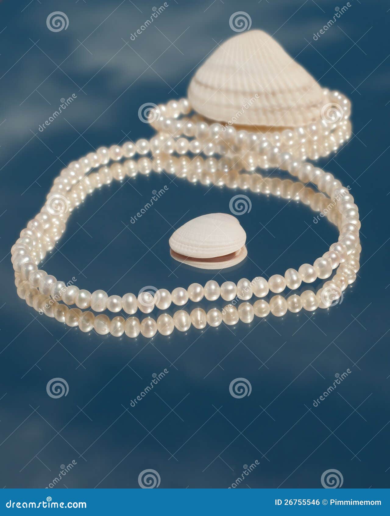 Pearl Necklace in Figure 8 with Seashells Stock Photo - Image of ...