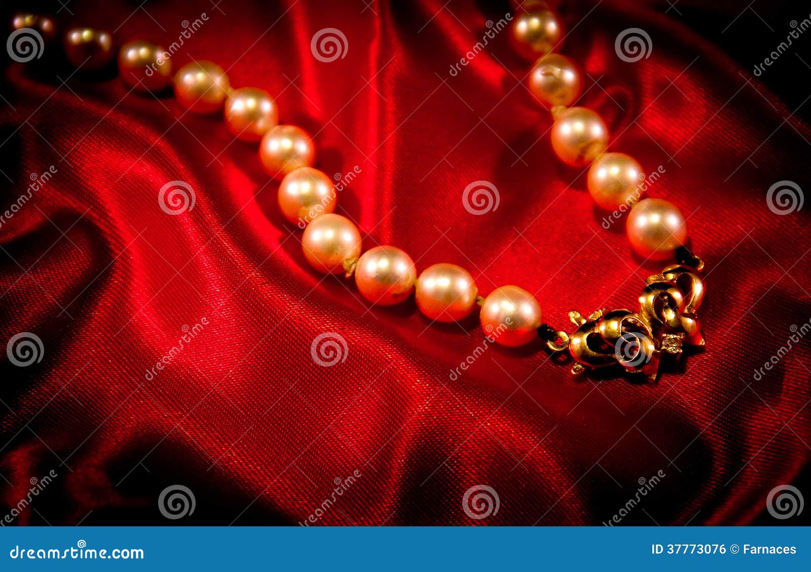 Pearl necklace stock photo. Image of glamour, pearl, luxury - 37773076