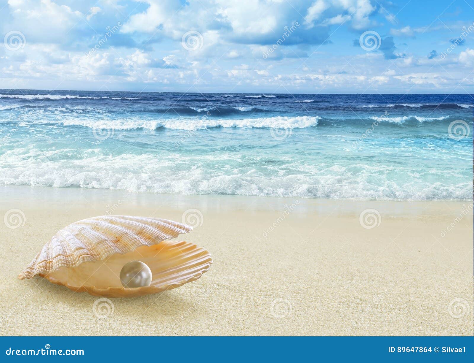 Pearl in open shell. stock photo. Image of azure, holiday - 89647864