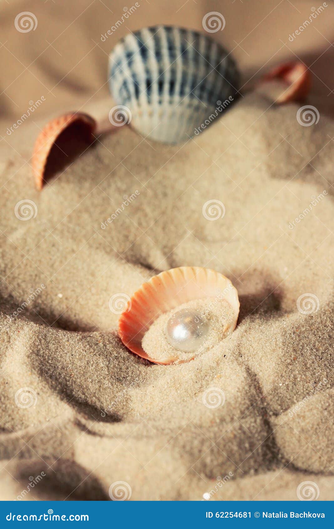 Pearl Pearl in the Shell on the Beach Stock Image - Image of resort ...