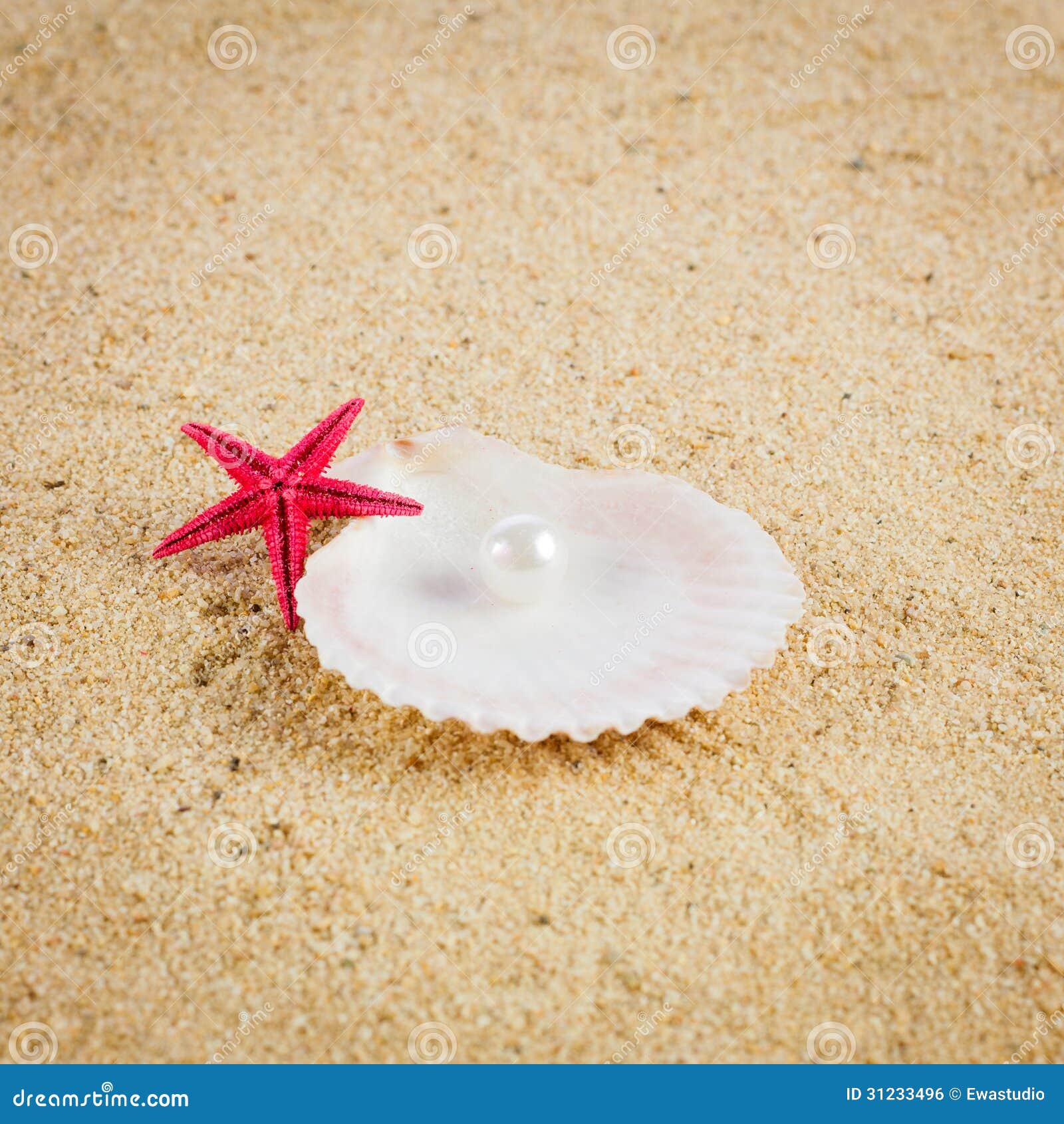 Pearl on the Seashell . the Exotic Sea Shell Stock Photo - Image of ...