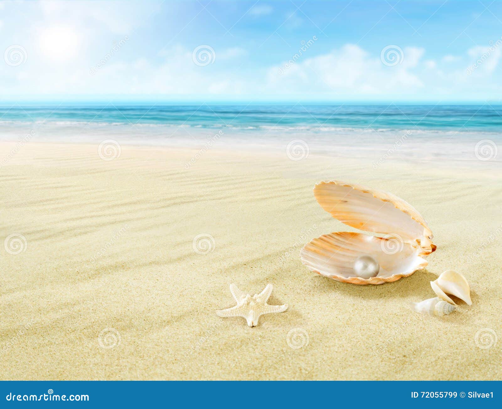 Pearl in seashell. stock image. Image of pacific, outdoors - 72055799