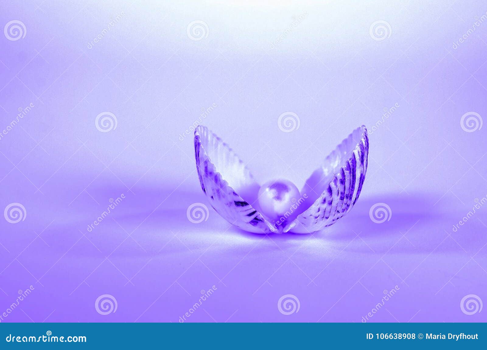 Pearl in Seashell with Purple Gradient Stock Photo - Image of vibrant ...