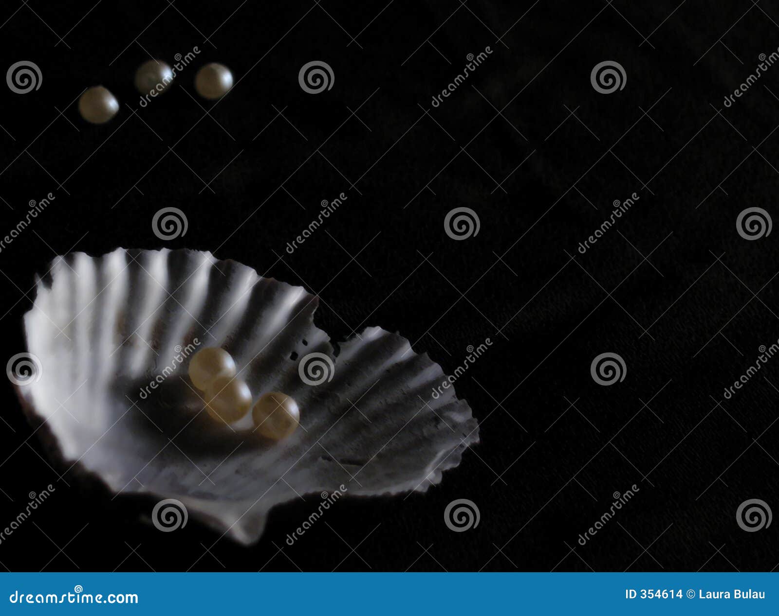 Pearl on shell stock photo. Image of white, baroque, shadow - 354614