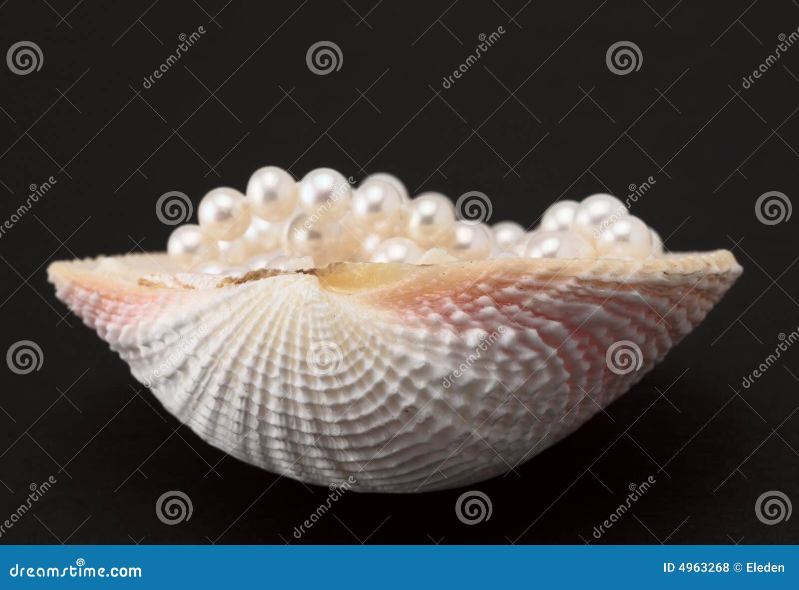 Pearl and shell stock photo. Image of reef, jewel, ocean - 4963268