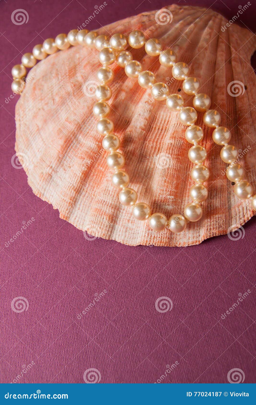 Pearl Shell on Bright Background Stock Image - Image of cosmetic, beach ...