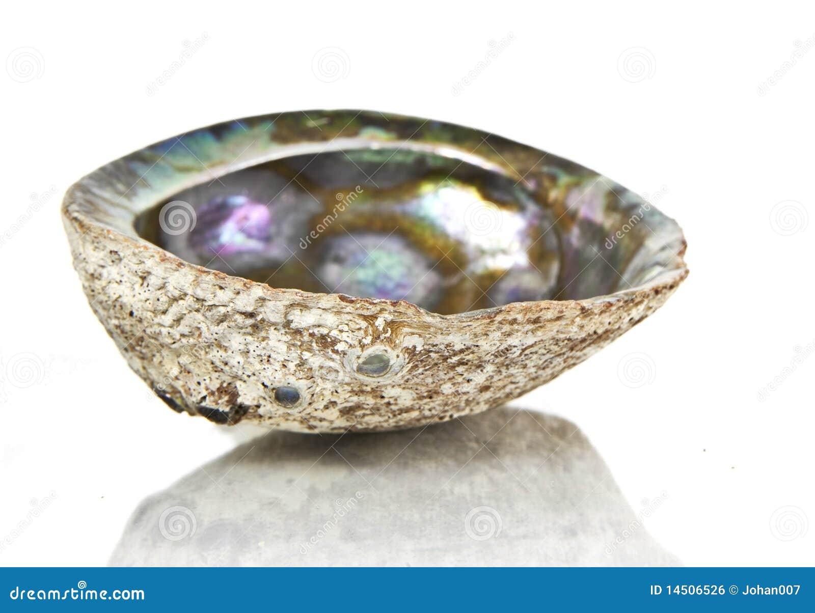 Pearl shell isolated stock photo. Image of close, oceanic - 14506526