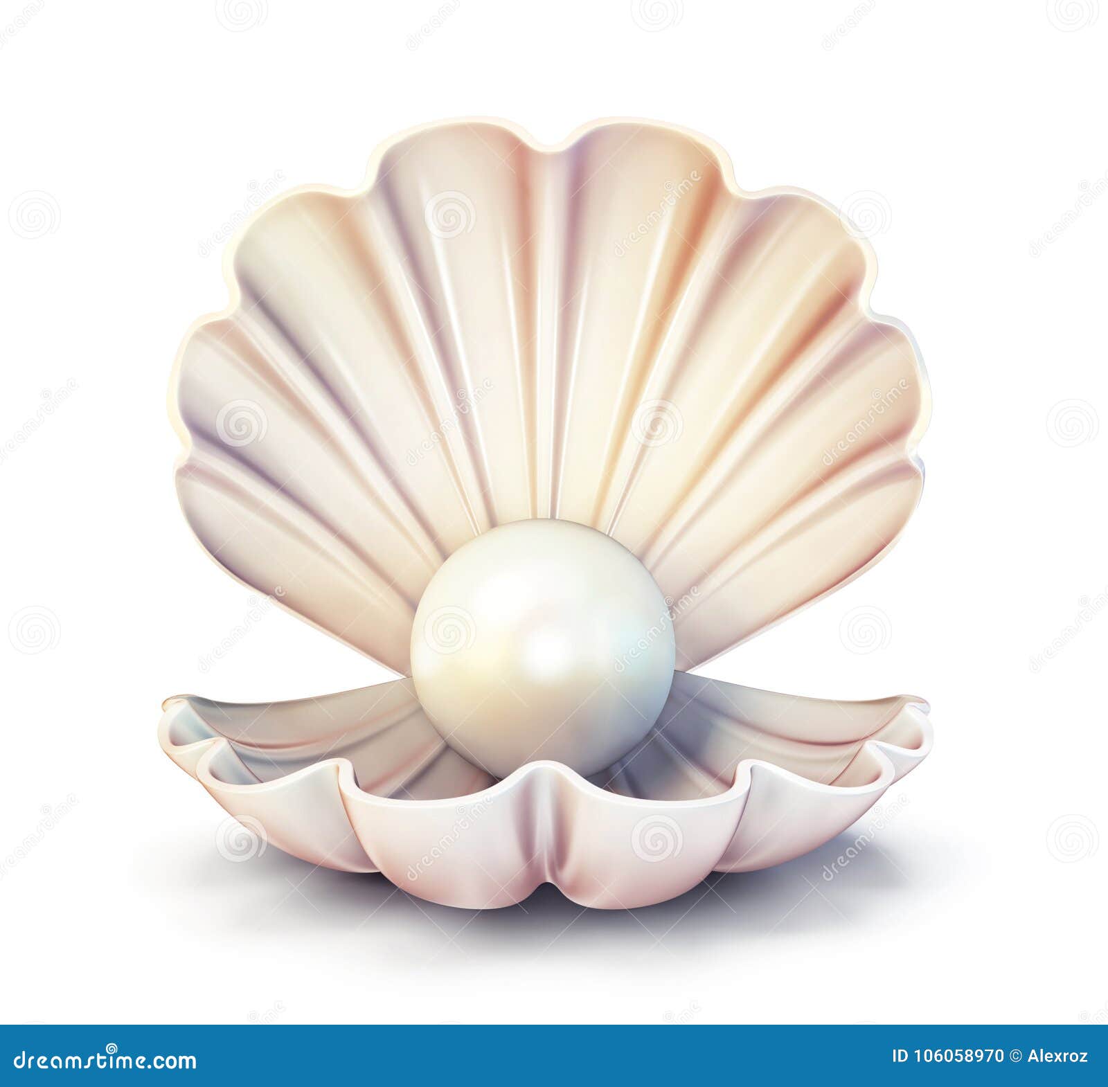 Pearl shell stock illustration. Illustration of shine - 106058970